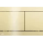 Alca Fun Flat Flush Plate - PVD Polished Gold